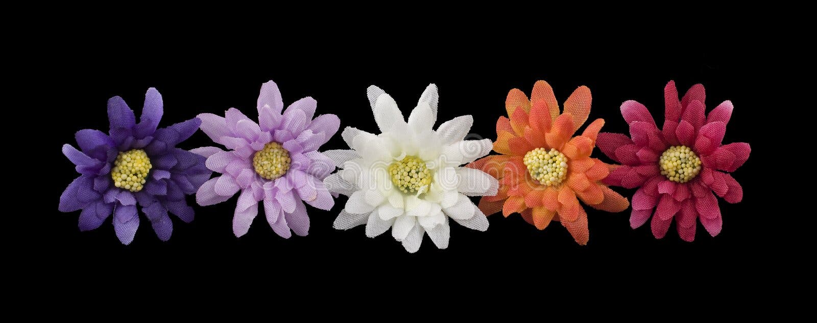 White flowers stock image. Image of floral, abstract, macro - 1537265