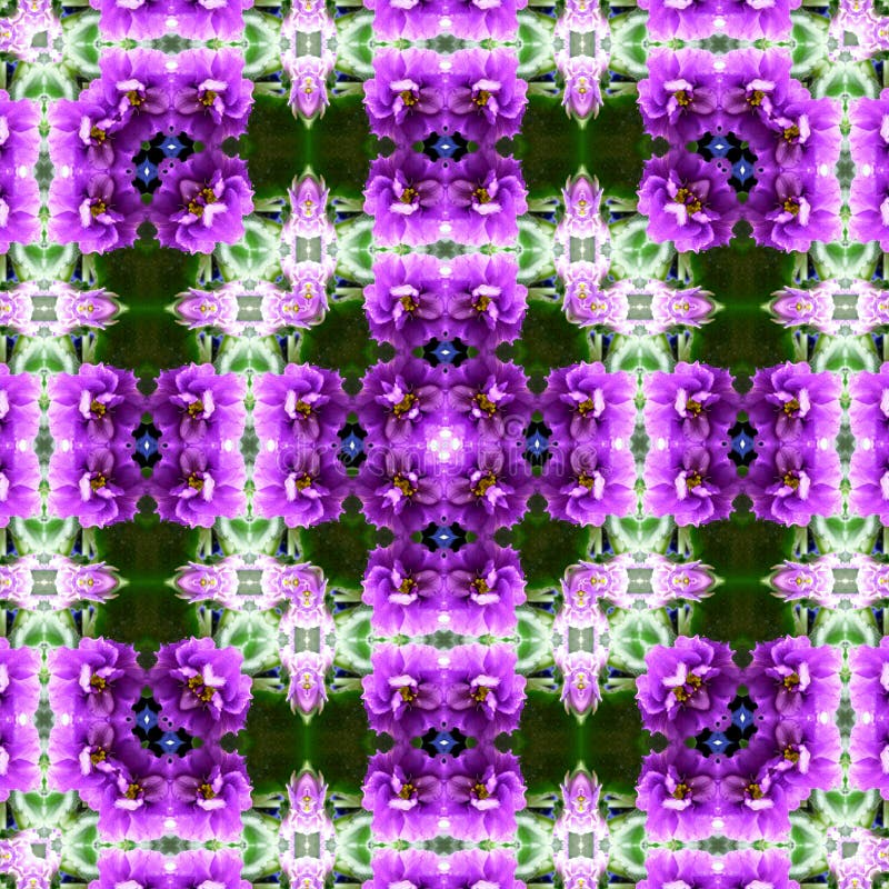 Flowers Lines and Square, Pattern from Tiles and Border in Violet ...