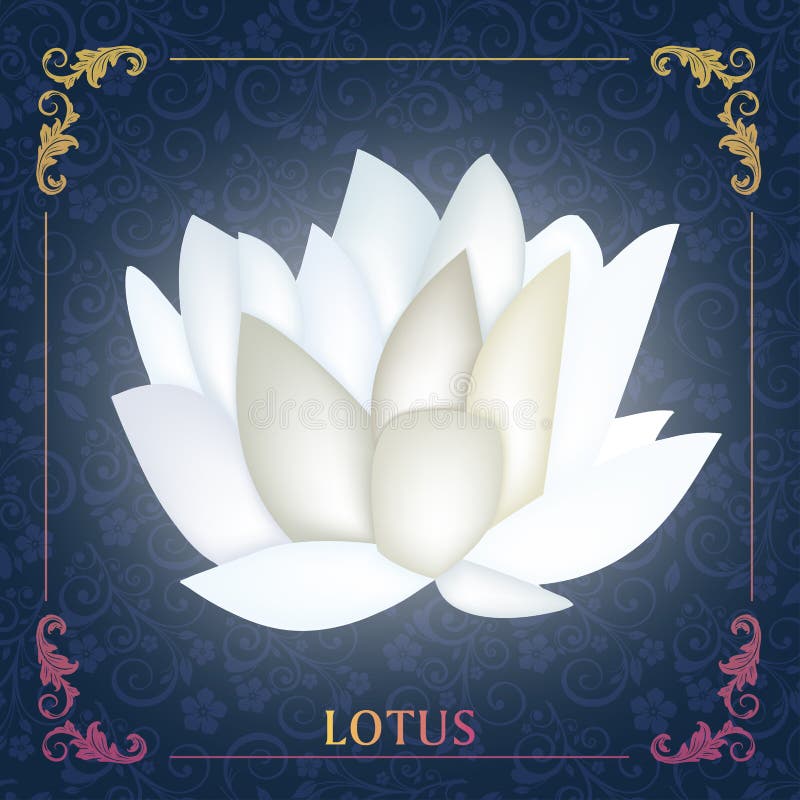 Flowers, lotus stock illustration. Illustration of shiny - 70974370