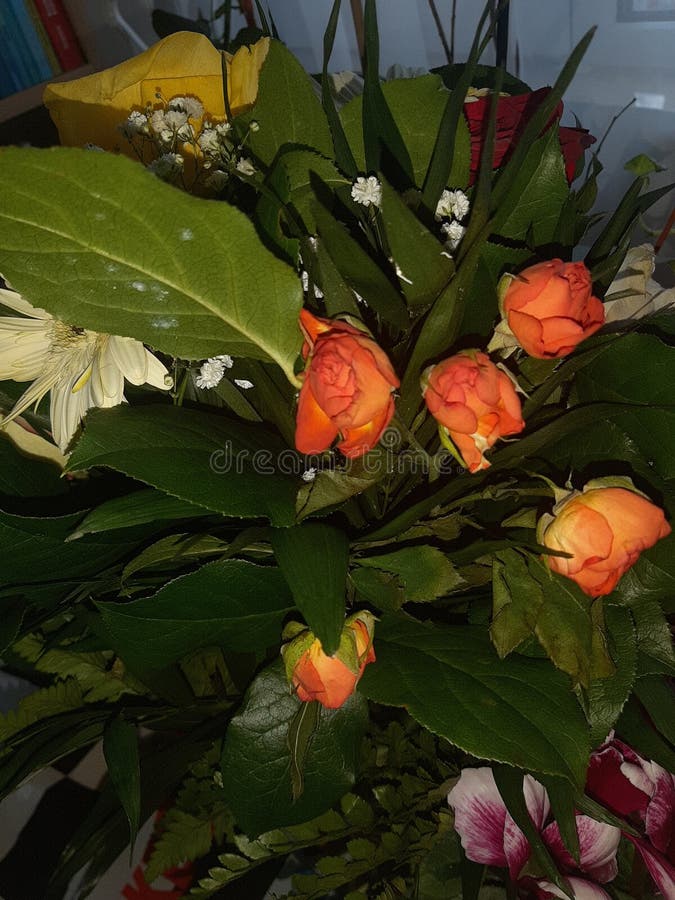 Flowers Love Peace Harmony Spring Stock Photo - Image of happy, harmony ...