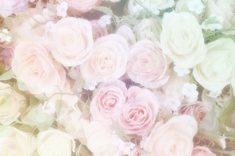 Flowers Made with Color Filters Stock Photo - Image of wallpaper ...