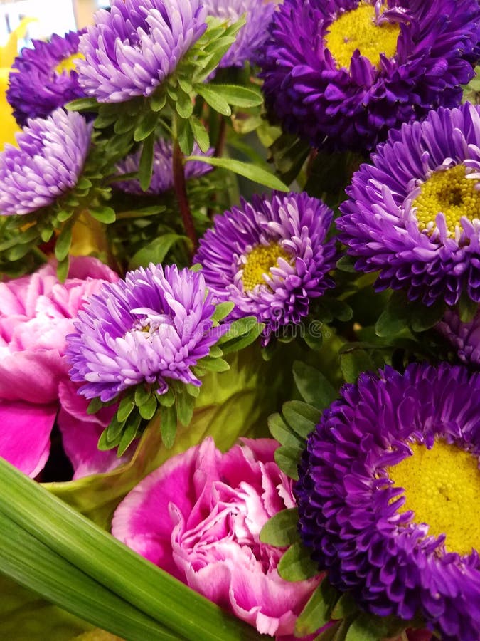 Flowers stock image. Image of color, special, flowers - 93980591
