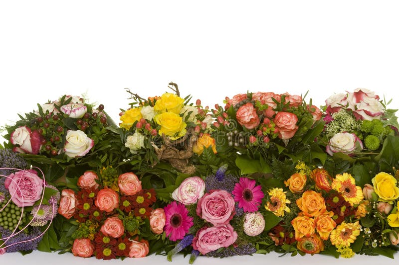 Flowers- Many Flowers on White Background Stock Photo - Image of beauty ...