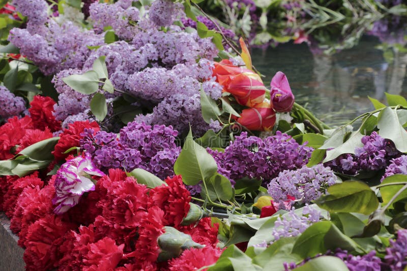 Flowers at a Memorial on Victory Day Stock Image - Image of flowers ...