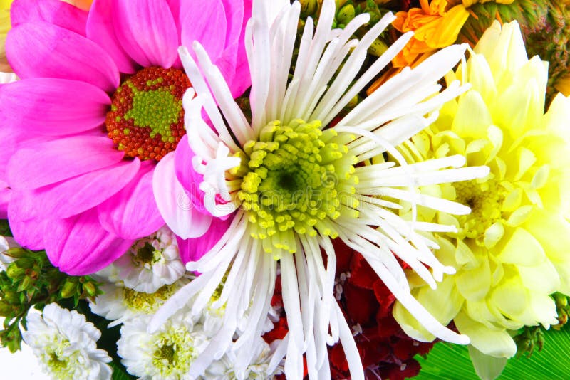 Spring Flowers Bouquet stock photo. Image of mixed, colorful - 17927254
