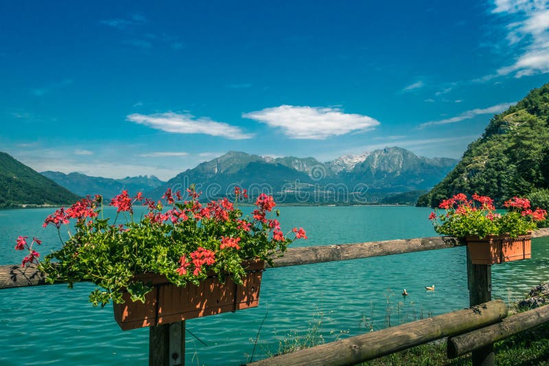 Flowers and mountain lake stock photo. Image of outdoors - 97821512