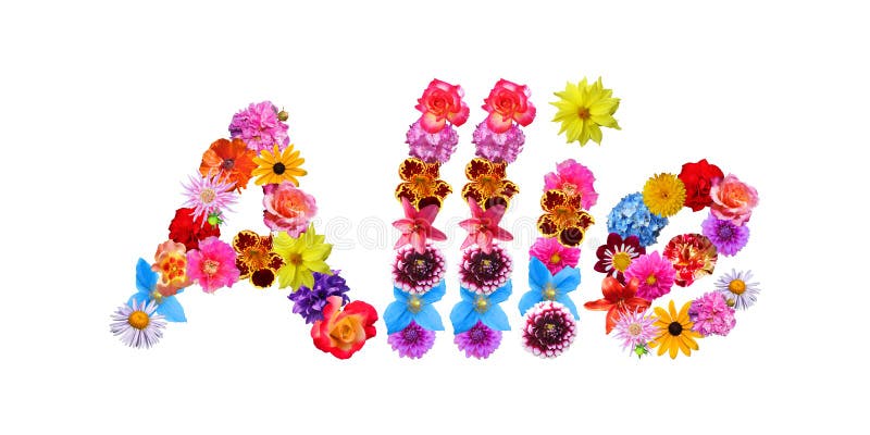 Name Allie Stock Illustrations – 3 Name Allie Stock Illustrations ...