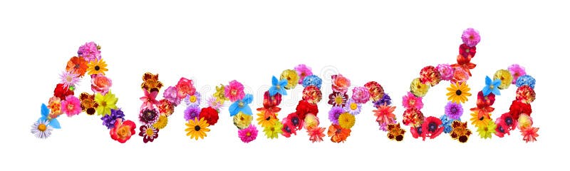 Flowers Name Amanda stock illustration. Illustration of customize ...