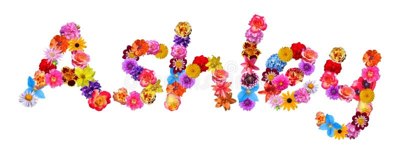 Name Ashley Stock Illustrations – 46 Name Ashley Stock Illustrations ...