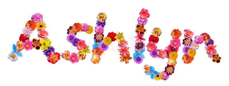 Flowers Name Ashlyn stock illustration. Illustration of card - 85441172