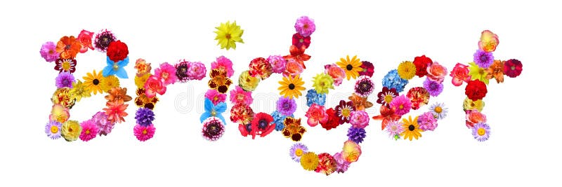 Name Bridget Stock Illustrations – 4 Name Bridget Stock Illustrations ...