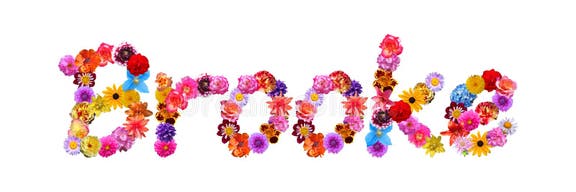 Flowers Name Brooke stock illustration. Illustration of name - 85441382