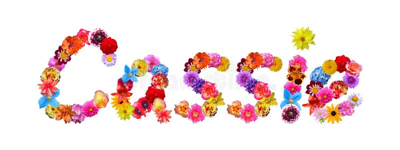 Flowers Name Cassie stock illustration. Illustration of colorful - 85441454