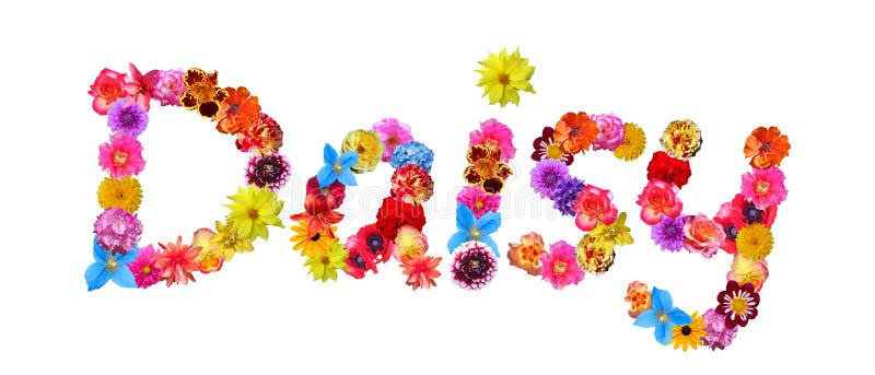 Flowers Name Daisy stock illustration. Illustration of birthday - 85441665