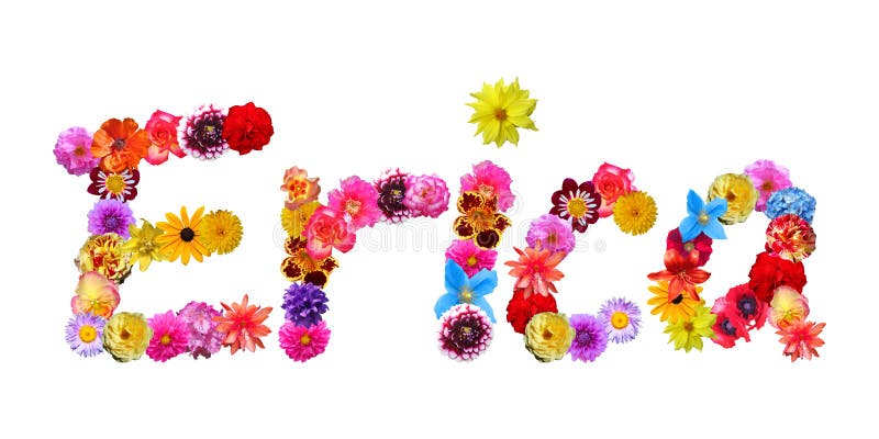 Erica Flower Field, Calligraphy Frohe Ostern Means Happy Easter Stock ...