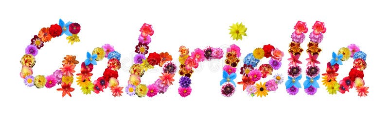 Flowers Name Gabriella stock illustration. Illustration of custom ...
