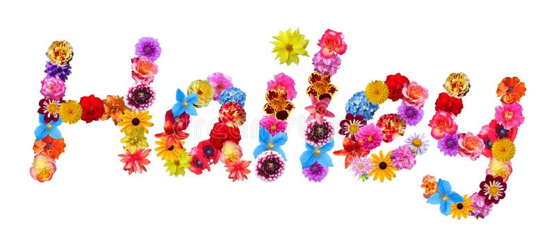 Flowers Name Hailey stock illustration. Illustration of decoration ...