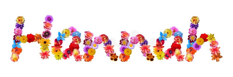 Flowers Name Hannah stock illustration. Illustration of design - 85441972