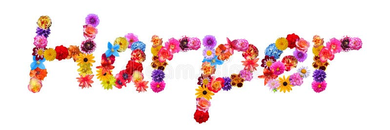 Flowers Name Harper stock illustration. Illustration of multi - 85442005