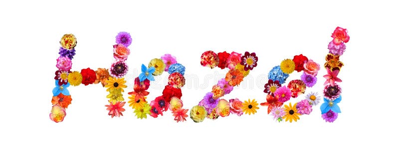 Name Hazel Stock Illustrations – 19 Name Hazel Stock Illustrations ...