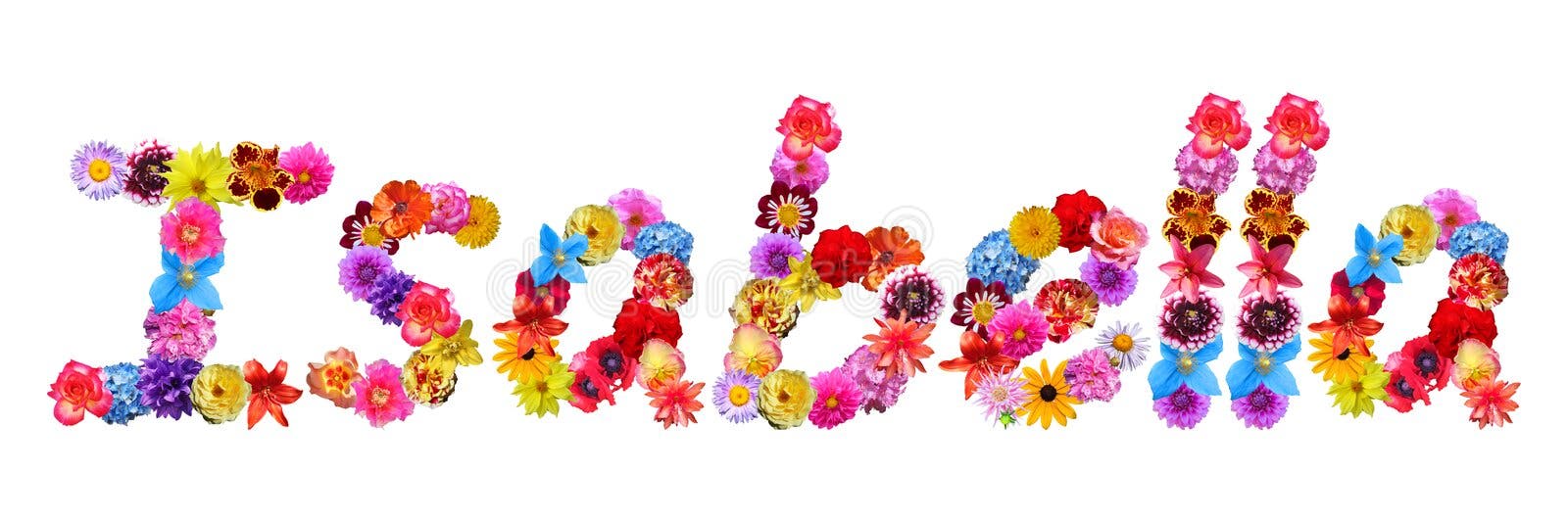 Name Isabella Stock Illustrations – 33 Name Isabella Stock ...