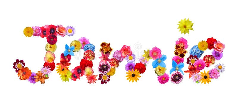 Jamie Stock Illustrations – 304 Jamie Stock Illustrations, Vectors ...