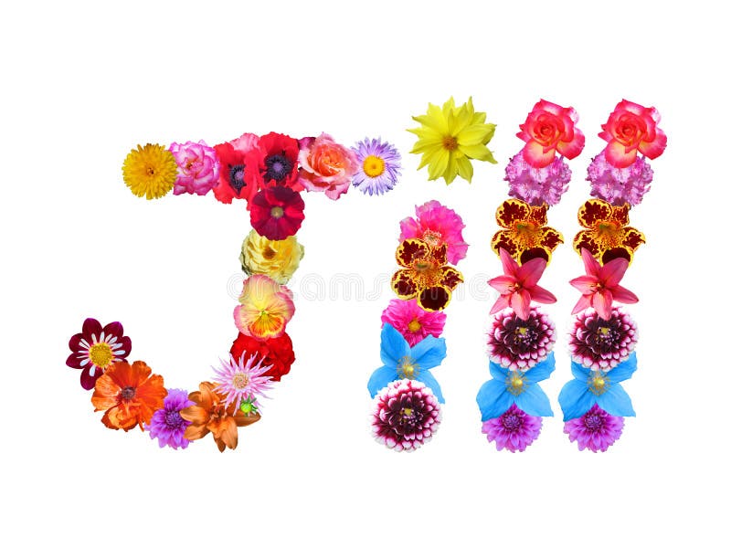 Flowers Name Jill stock illustration. Illustration of card - 85442168