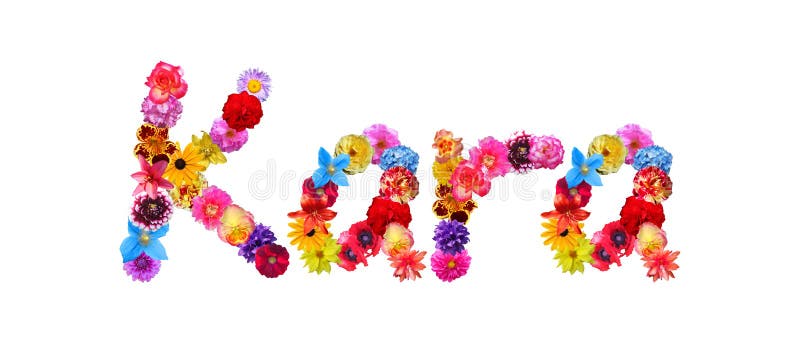 Flowers Name Kara stock illustration. Illustration of flower - 85442236