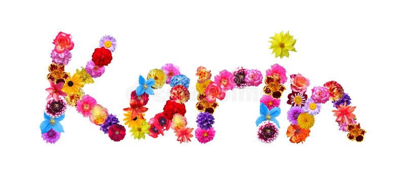 Flowers Name Karin stock illustration. Illustration of multi - 85442279