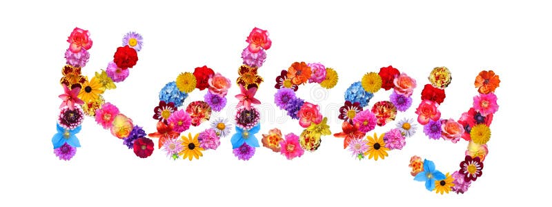 Name Kelsey Stock Illustrations – 3 Name Kelsey Stock Illustrations ...