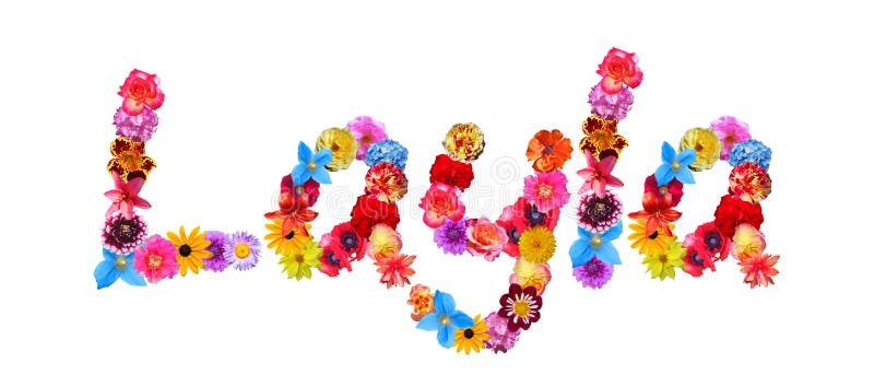 Flowers Name Layla stock illustration. Illustration of flower - 85442505