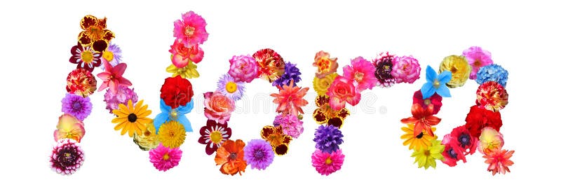 Flowers Name Nora stock illustration. Illustration of floral - 85442704
