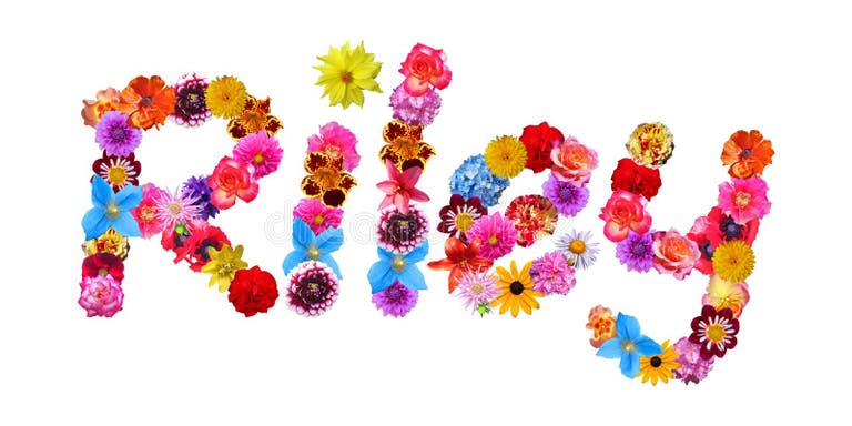 Flowers Name Riley stock illustration. Illustration of floral - 85442773