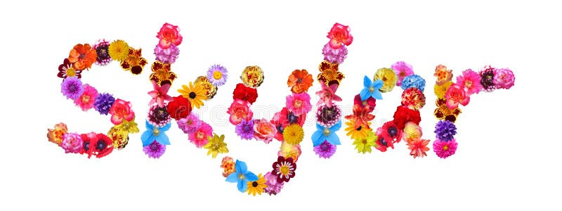 Flowers Name Skylar stock illustration. Illustration of design - 85442882