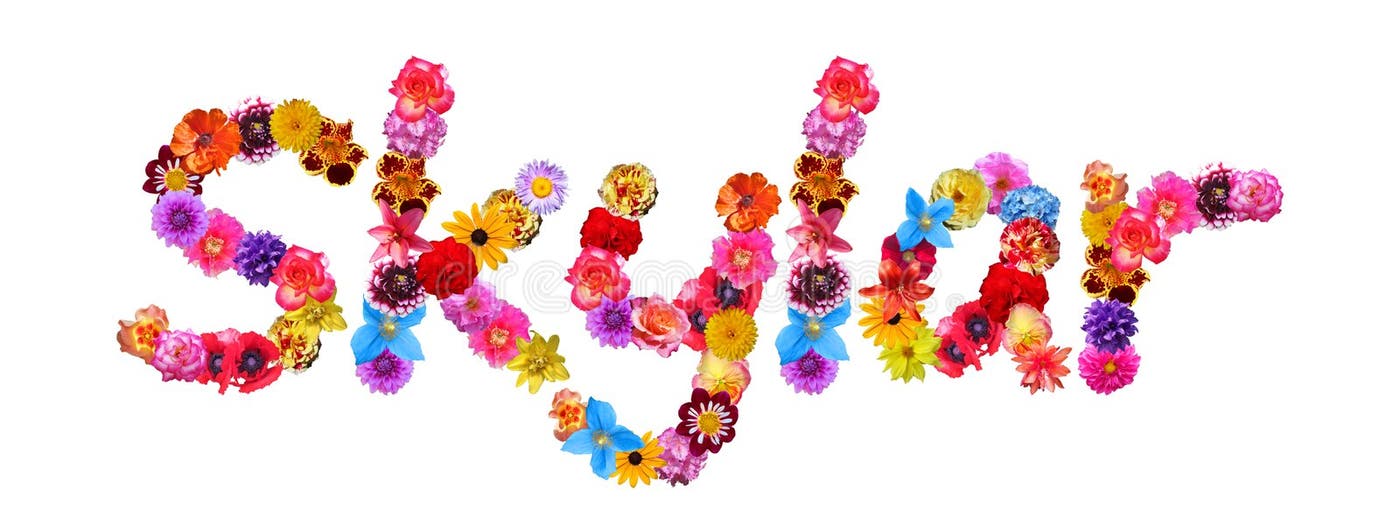 Skylar Stock Illustrations – 7 Skylar Stock Illustrations, Vectors ...