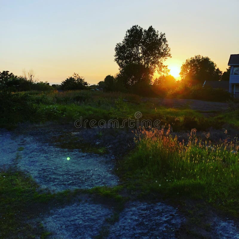 Flowers, Nice and Colourful when the Sun is Rising. Stock Image - Image ...