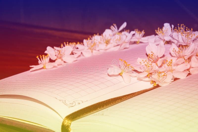 Flowers on a Notebook. Writing Notebook Stock Photo - Image of leaves ...