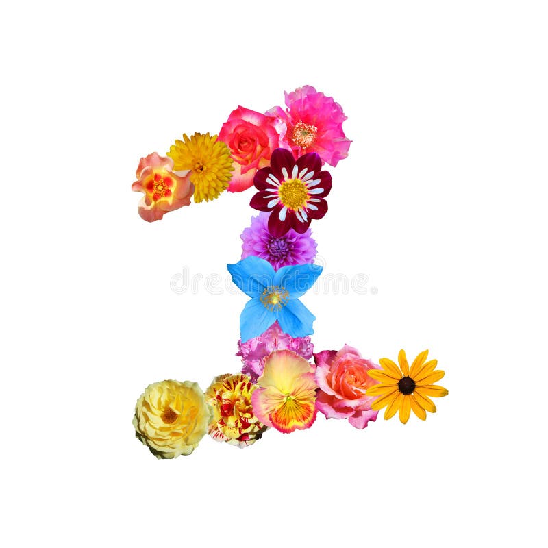 Flowers Number One stock illustration. Illustration of flowers - 85442962