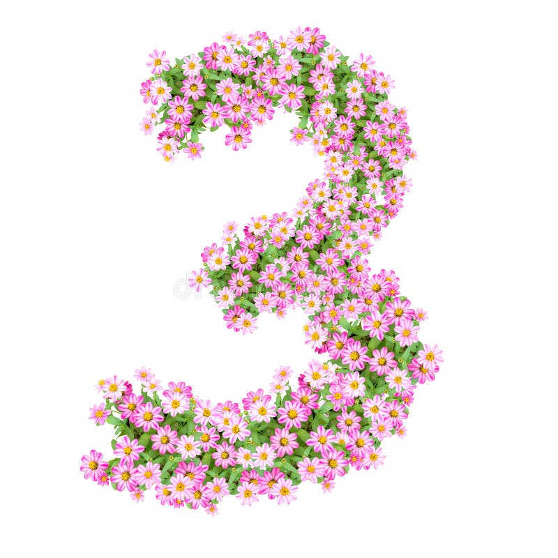 Flowers numbers 3 stock illustration. Illustration of flowers - 54754533