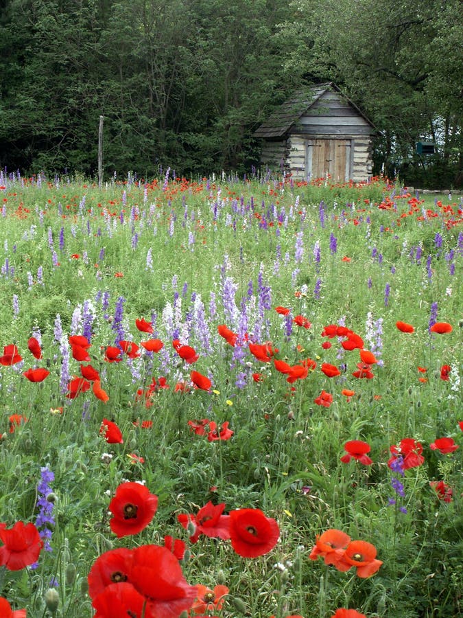 2,605,836 Old House Stock Photos - Free & Royalty-Free Stock Photos ...