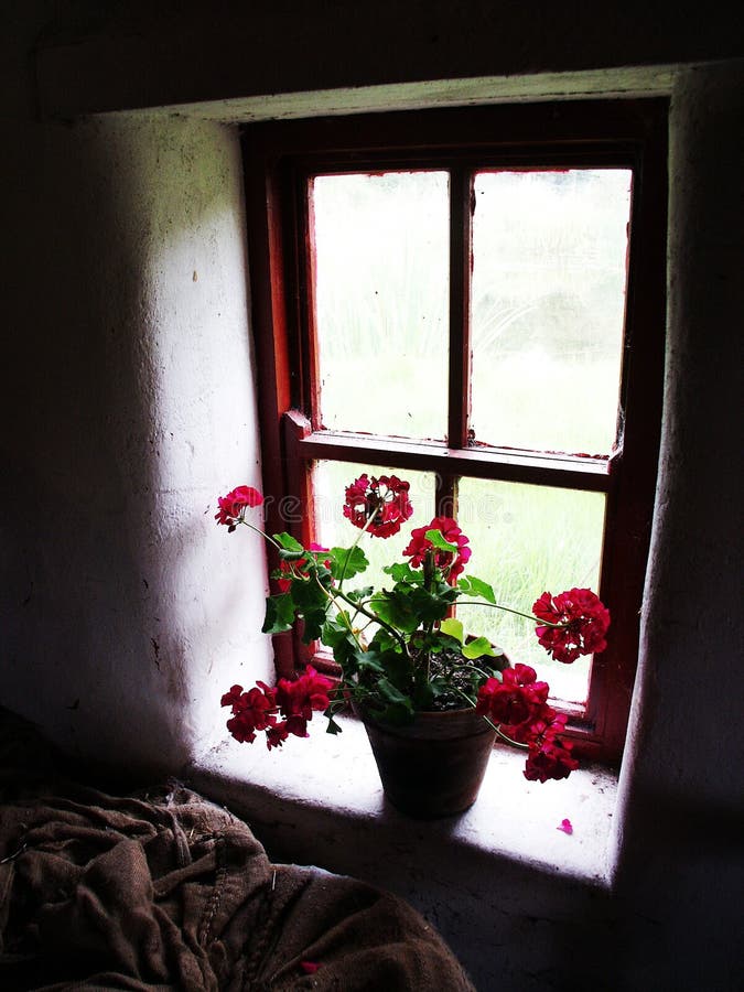 Flowers in old mill window stock image. Image of flowers - 5059173
