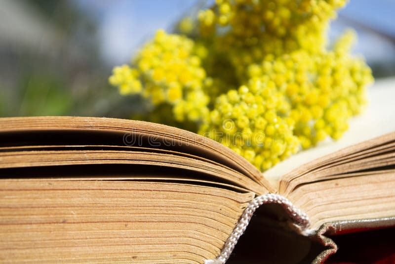 Flowers in an Open Book, Yellow Flowers in an Old Open Book. Stock ...