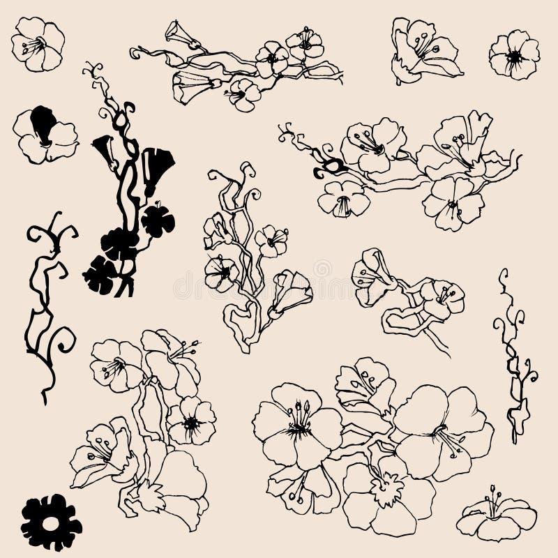 Floral Outlines Seamless Pattern Stock Vector - Illustration of flower ...