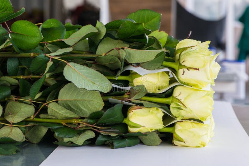 Flowers packaging process stock image. Image of harvest - 126004801