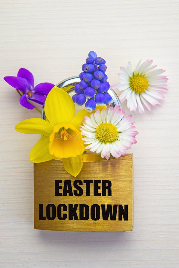 Flowers and Padlock that Says `Easter Lockdown`. Stock Photo - Image of ...