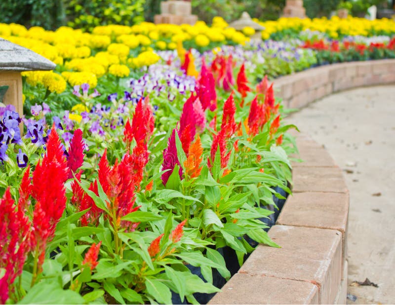 Flowers in the park stock photo. Image of landscape, plant - 27088240