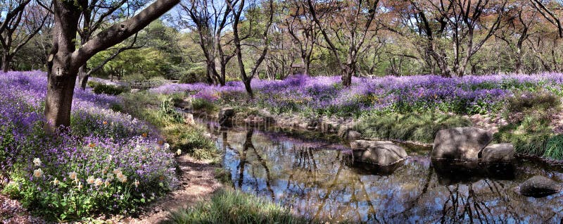 Flowers park stock image. Image of foliage, green, field - 9022881