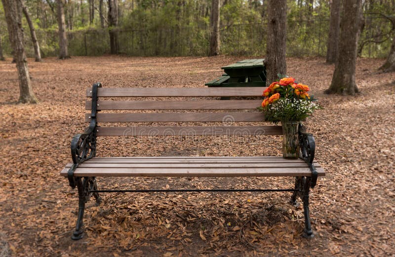 Flowers on a Park Bench stock photo. Image of glass - 115481114