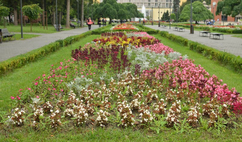 Flowers in Park stock photo. Image of landscape, path - 81048310
