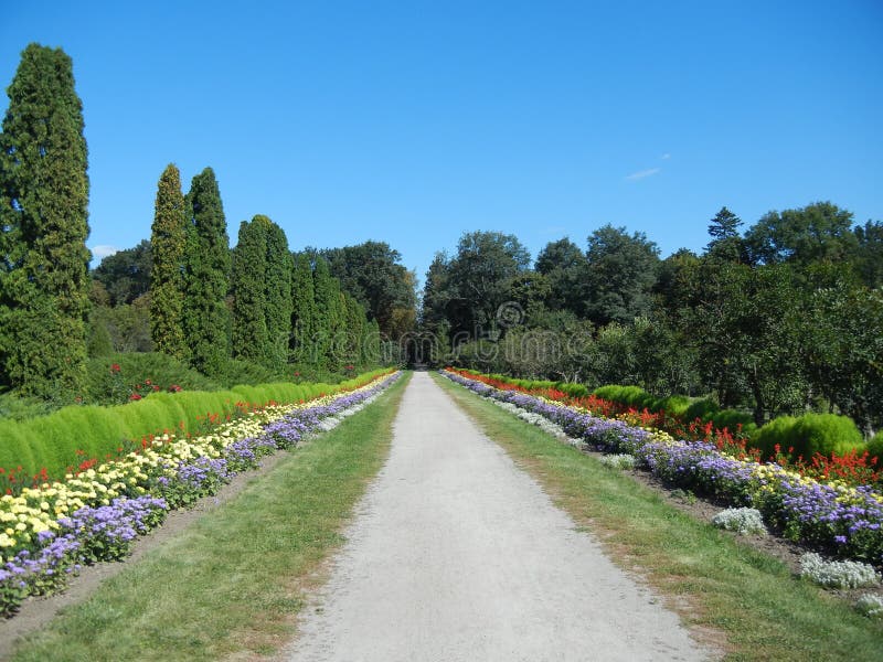 Flowers in the park road stock image. Image of curve - 21570889